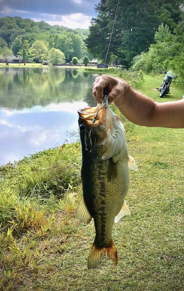 Spotted Bass Fishing - The Expert's Guide