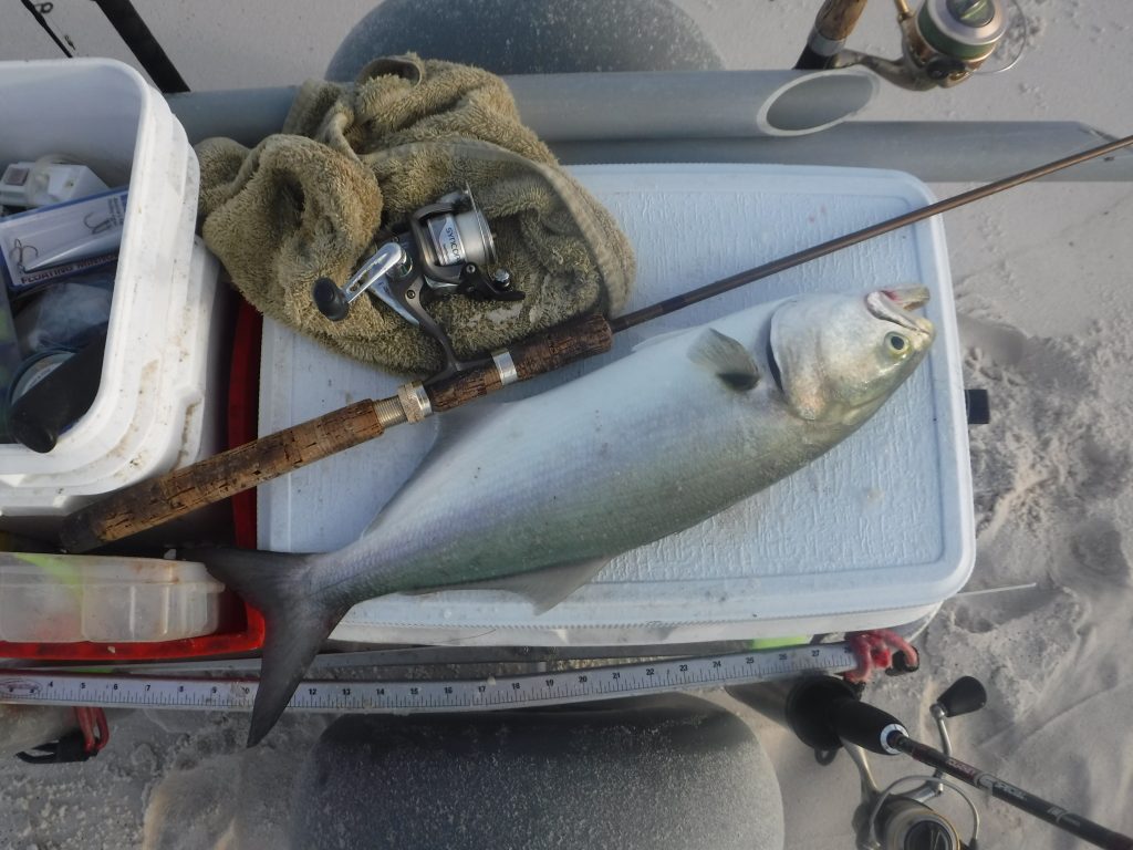 Must Have Surf Fishing Gear | Great Days Outdoors