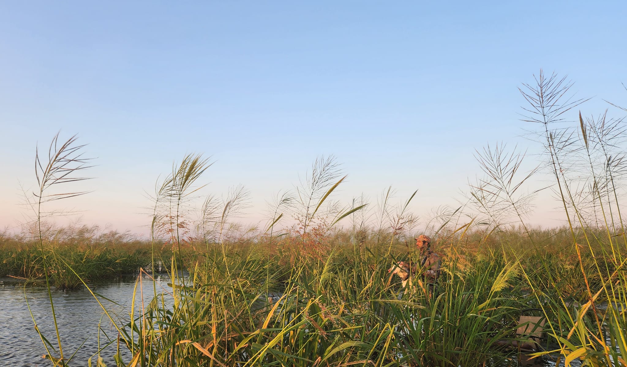 Dog Platforms For Duck Hunting: Troubleshooting Before You Buy