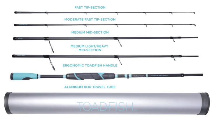 Toadfish’s Four-In-One Travel Spinning Rod