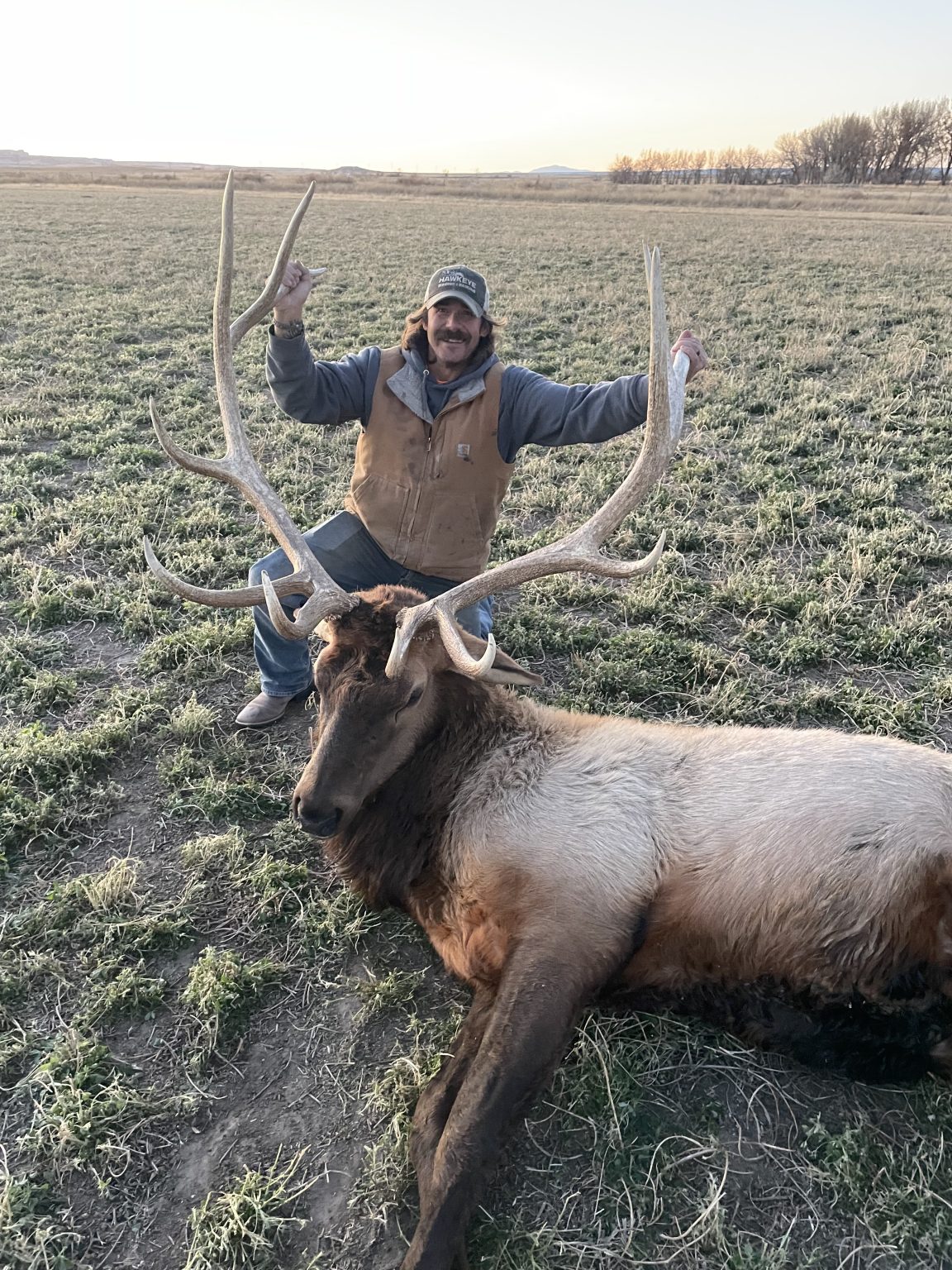 Wyoming Elk Tag: Expert Tips & Draw Insights from 157 Outfitters