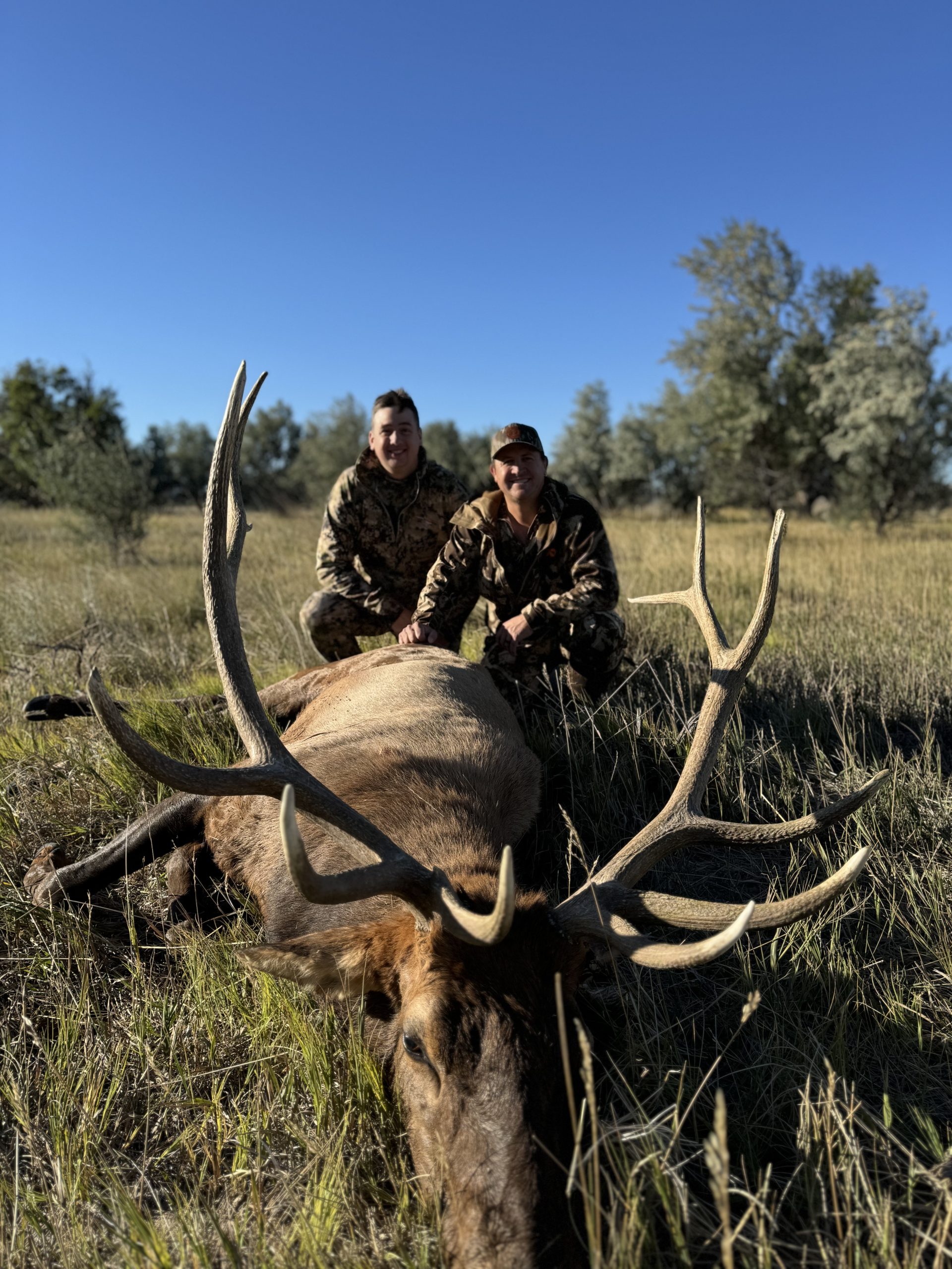 Wyoming Elk Tag: Expert Tips & Draw Insights from 157 Outfitters