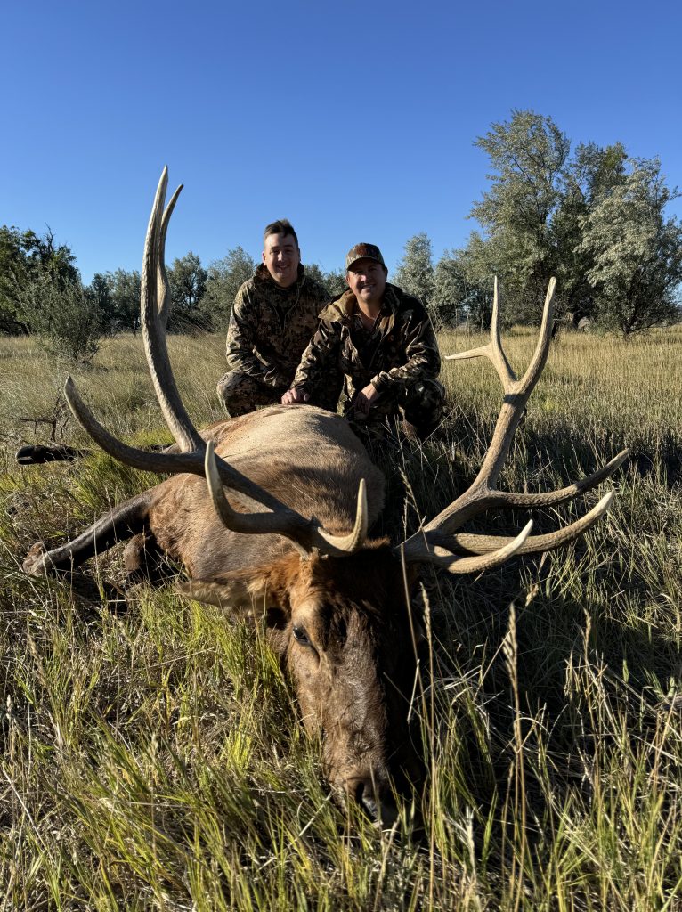 Wyoming Elk Tag: Expert Tips & Draw Insights from 157 Outfitters