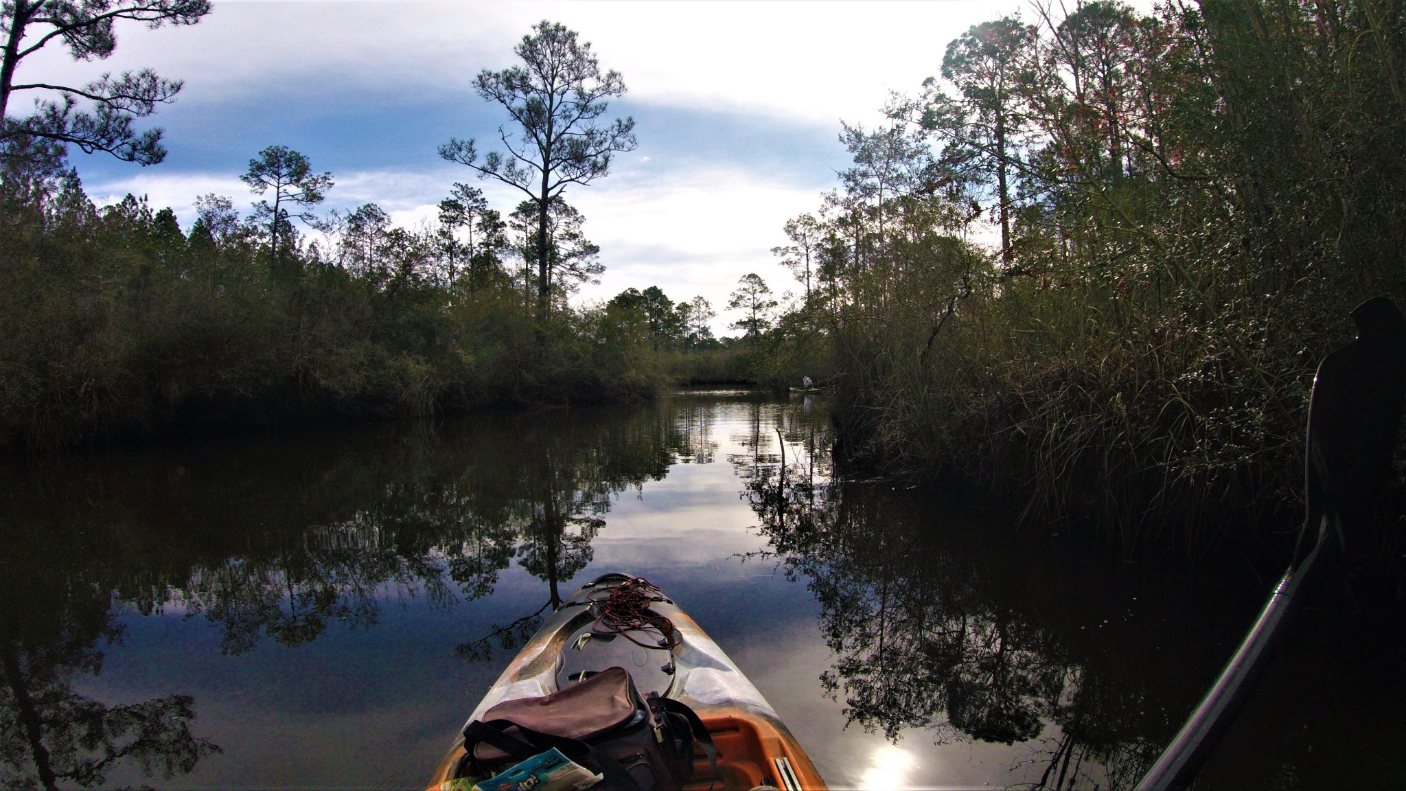 Best Kayak Fishing Alabama Has To Offer