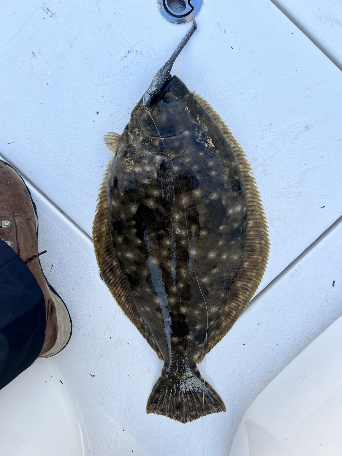 Go Big or Go Home: Building the Ultimate Flounder Rig