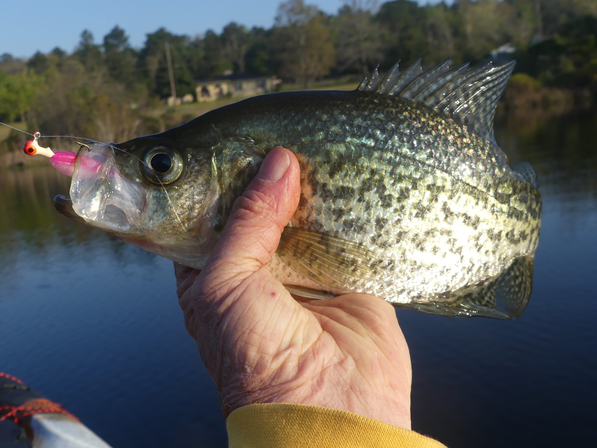 Fall Crappie Fishing Secrets: Cooler Water, Bigger Bites