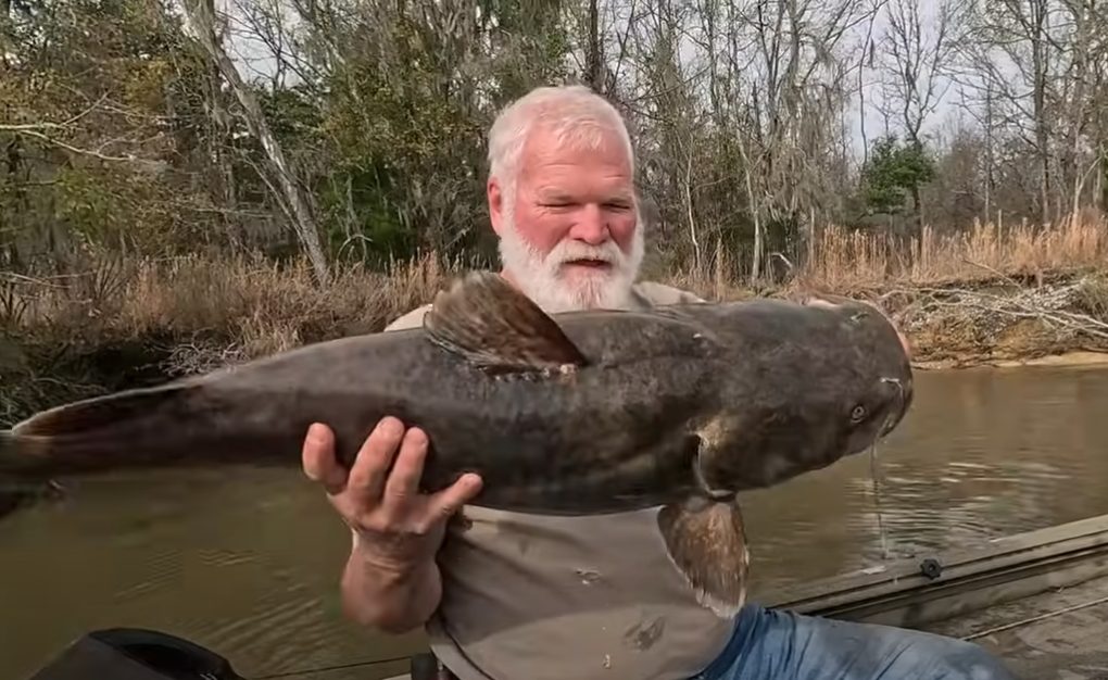 Set Line Fishing for Catfish